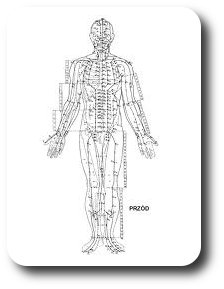 SHIATSU - leczniczy masaż meridianów - zabiegi